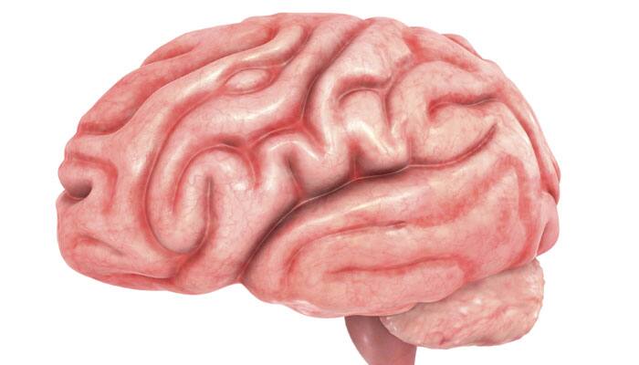 Human brains can communicate directly with each other | Science ...