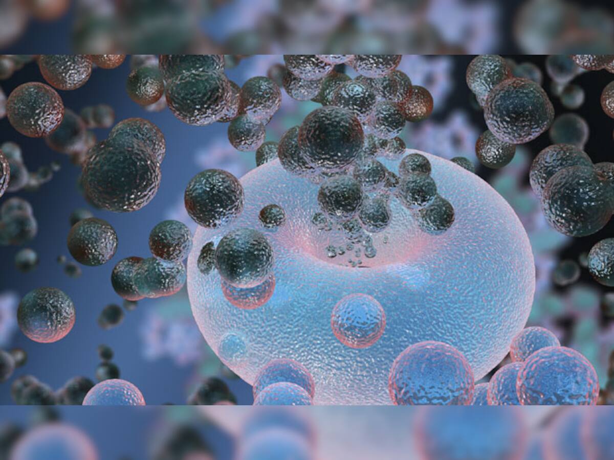 Worlds first lab grown stem cells implanted