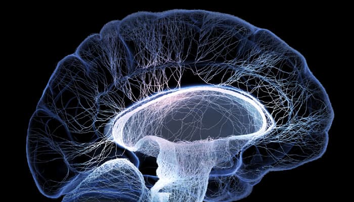 How human brain works while unlocking a door revealed | Science ...