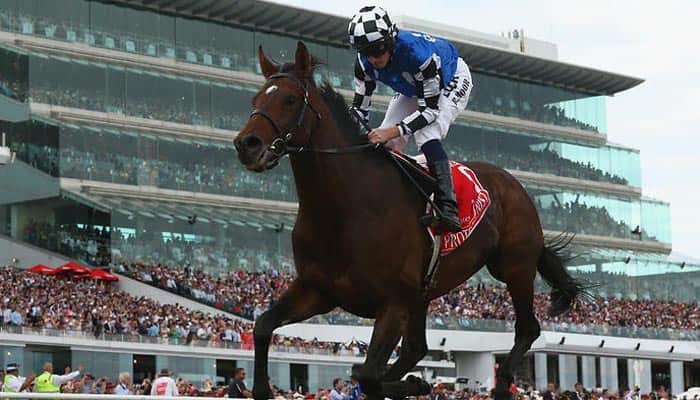 Japanese Melbourne Cup favourite Admire Rakti dies after race | Other ...