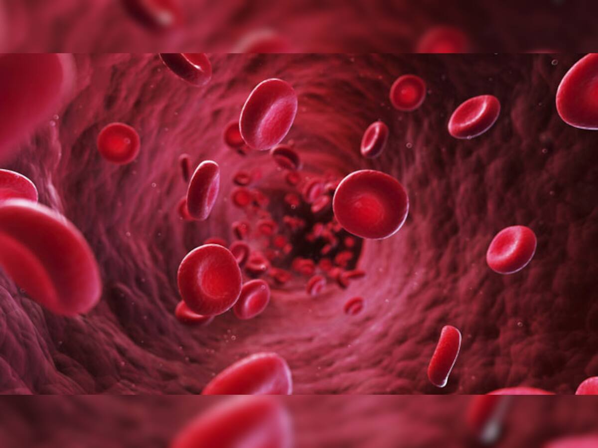 Synthetic platelets helps clot blood faster