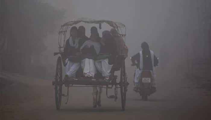 Intense cold, dense fog prevail in North India; 10 killed | India News ...