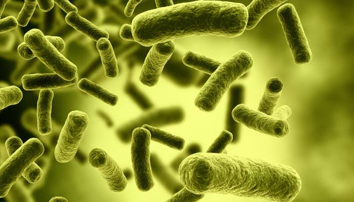 Bacteria can create 'natural battery' | Science News | Zee News