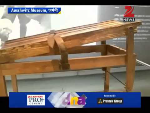 DNA: Analysis of Adolf Hitler's rule in Germany | Zee News