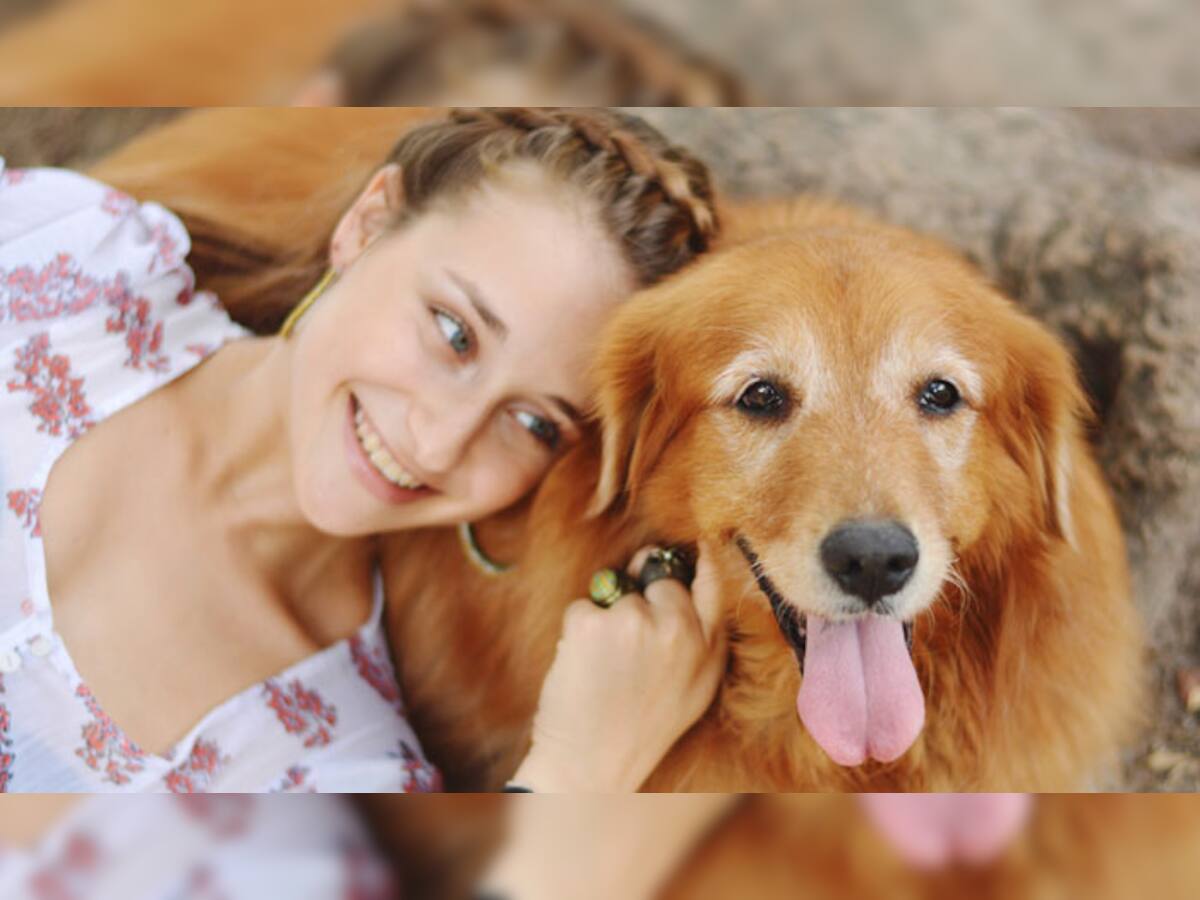 Dog-human bonding older than thought