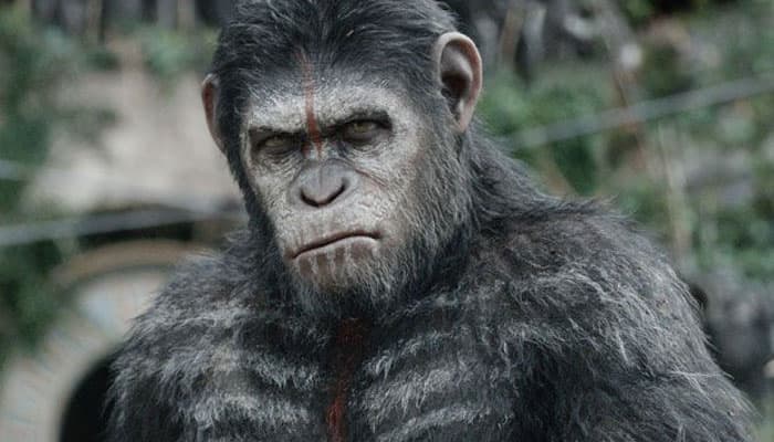 Planet of the Apes? Talking apes may soon be a reality now | Science ...