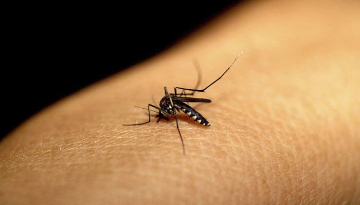 Tourniquet test recommended for dengue self-diagnosis | Health News ...