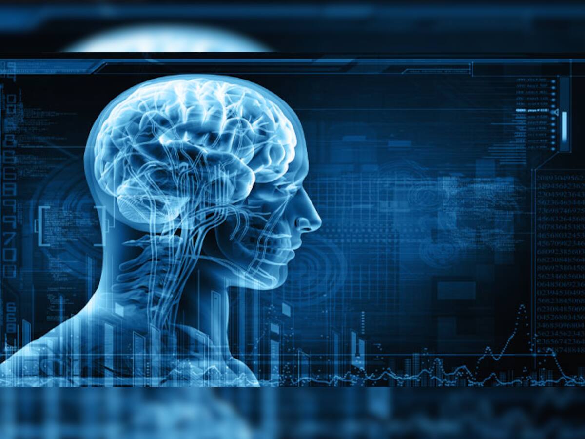 Study reveals past experiences affect recognition, memory