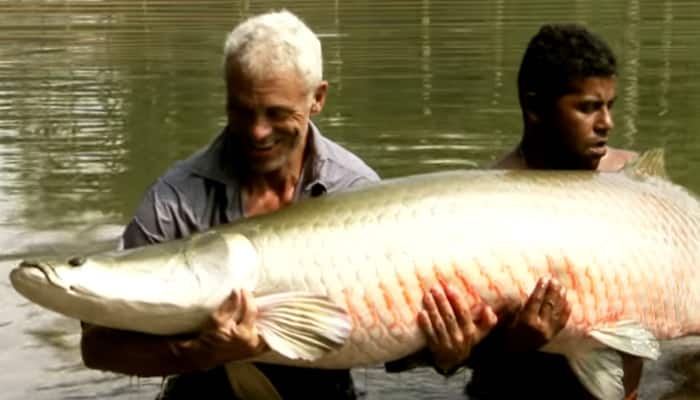 River Monsters – Some of Jeremy Wade’s biggest catches (Watch here ...