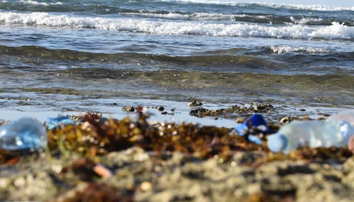 UN Ocean Conference opens with call to save planet | Environment News ...