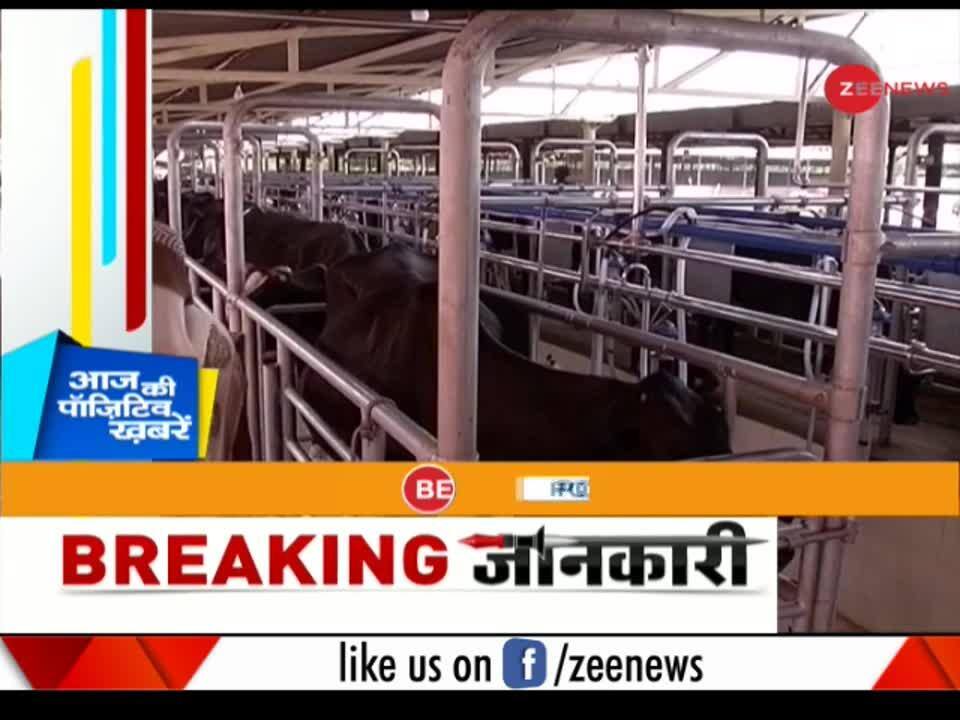Rajasthan government plans to set up biogas plants in gaushalas to make them self-reliant | Zee News
