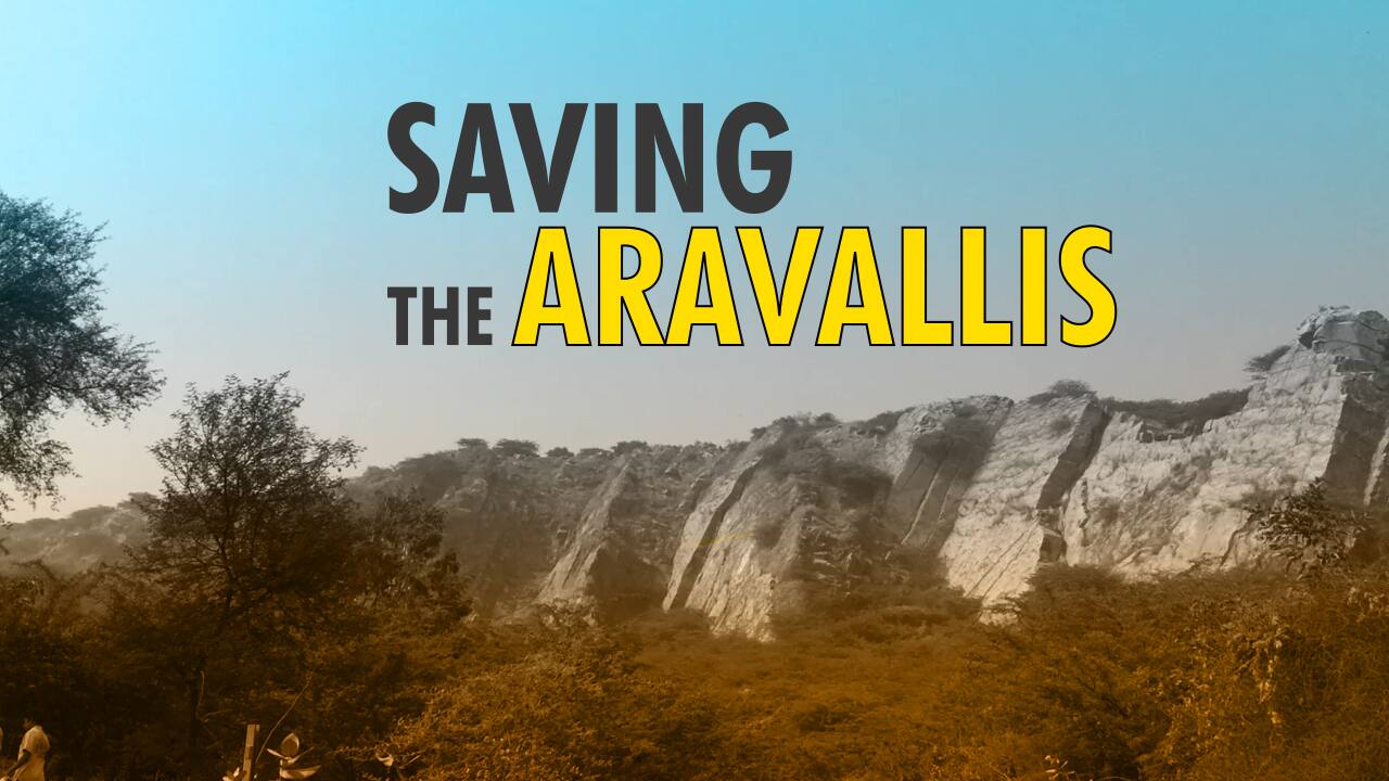 Aravallis: The story of a disappearing range, and a fight to preserve ...