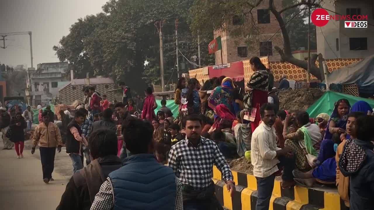 Siberian seagulls - the surprise pilgrims at Kumbh 2019 | Zee News