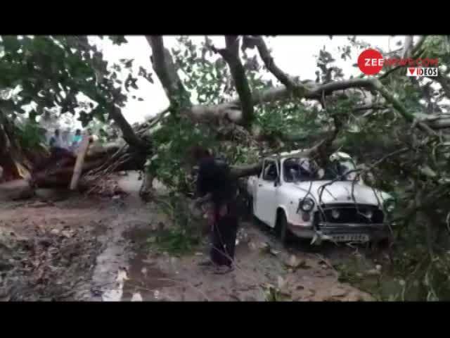 Cyclone Fani Impact: old tree falls on a taxi shop and electric poll ...