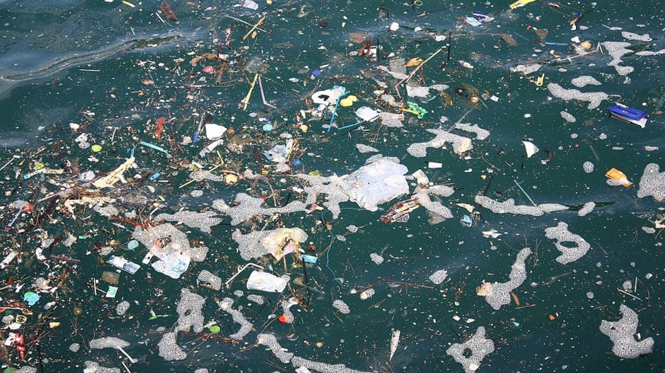 Trash found littering Pacific Ocean's Mariana Trench floor in deepest ...