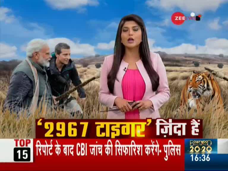 Tiger count reaches 2,967; PM Modi releases Tiger census report | Zee News
