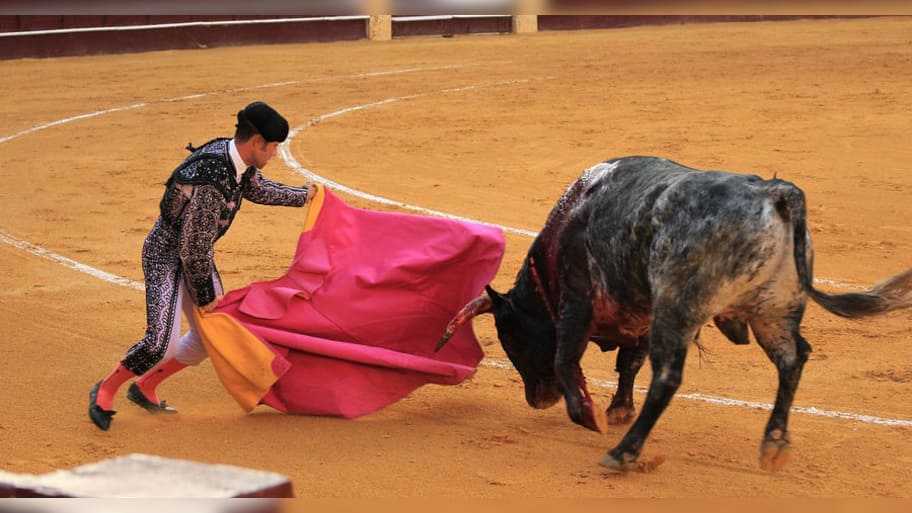 Terrifying video shows bull jumping into stands to attack audience at ...