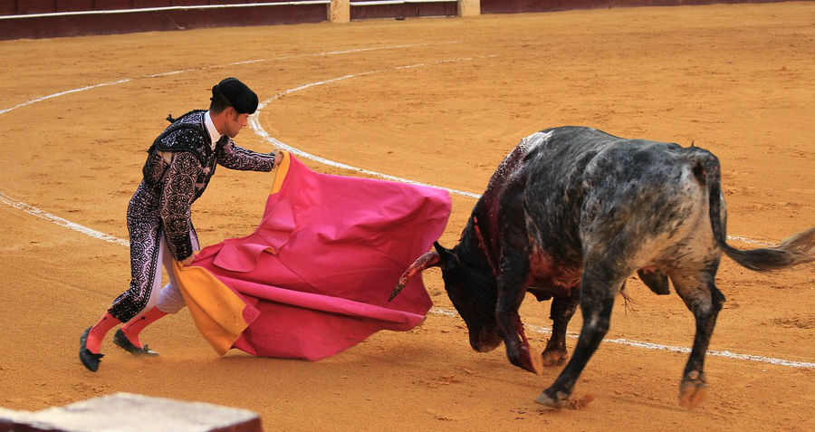 Terrifying video shows bull jumping into stands to attack audience at ...