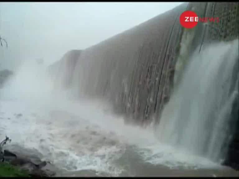 Flood in Gujarat's Jamnagar due to heavy rain, many animals flow into ...