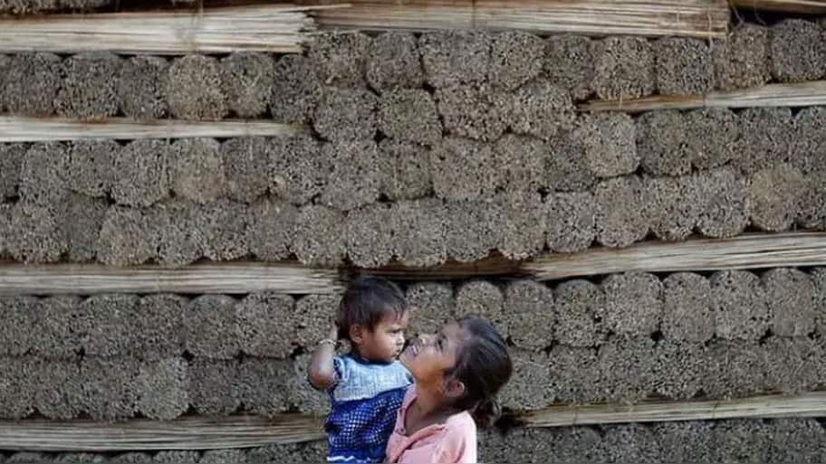 Modi govt's big push for jute industry! 100% food grains, 20% sugar to ...