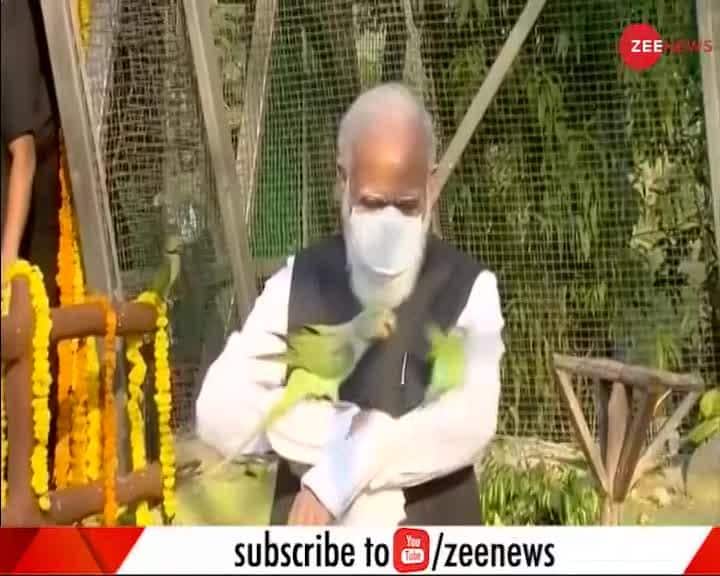 PM Modi inaugurates Sardar Patel Zoological Park in Kevadia, Gujarat ... PM Modi inaugurates Sardar Patel Zoological Park in Kevadia, Gujarat ...