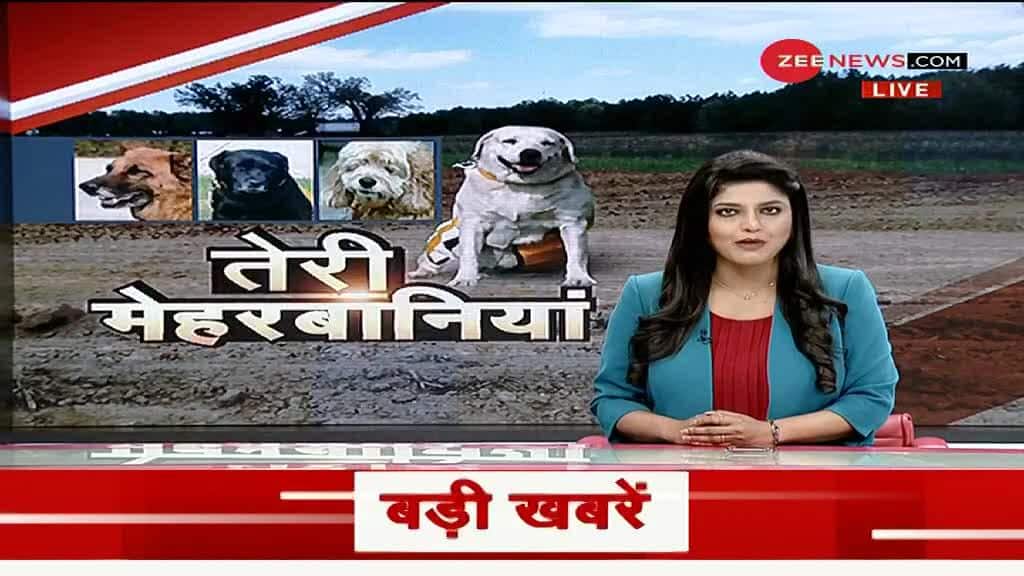 Video : 8 CISF-trained dogs served in Delhi Metro & Kumbh Mela, get ...