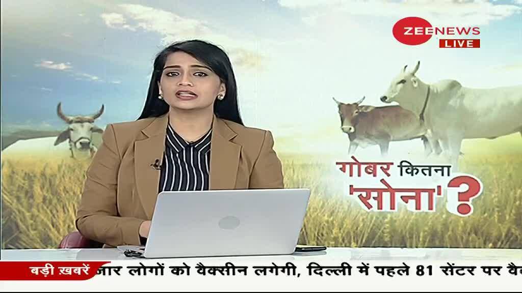 India: Union Minister Nitin Gadkari launches 'Vedic paint' made from ...