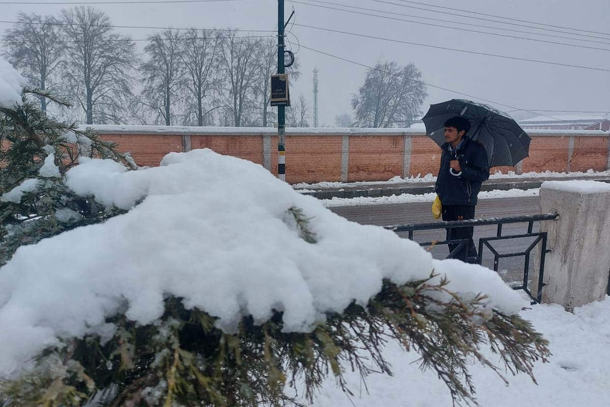 Snowfall continues in many areas of Kashmir | Zee News