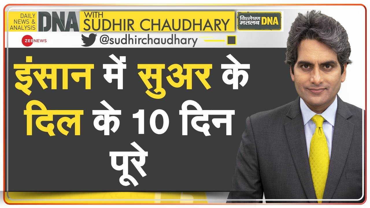 DNA 10 Days Of Pig s Heart In Humans Zee News