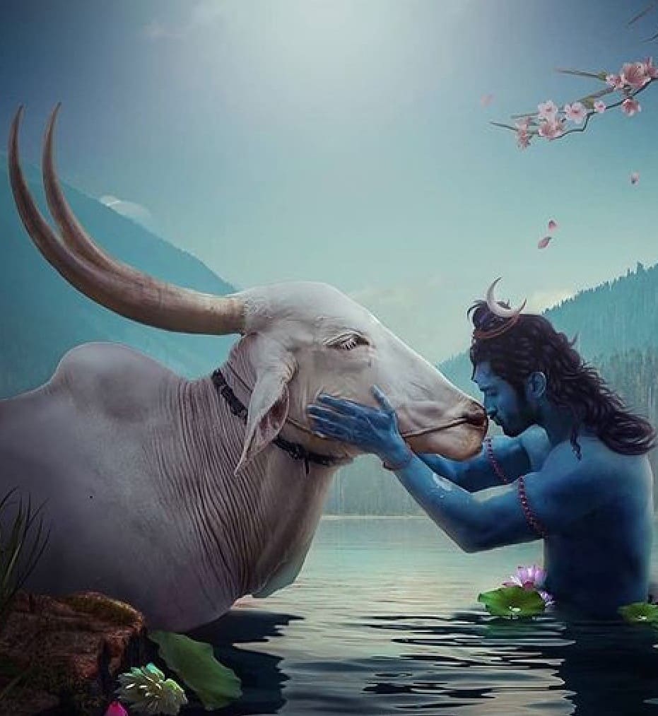 Gyanvapi case: Why is Nandi's face towards Mosque? | Zee News