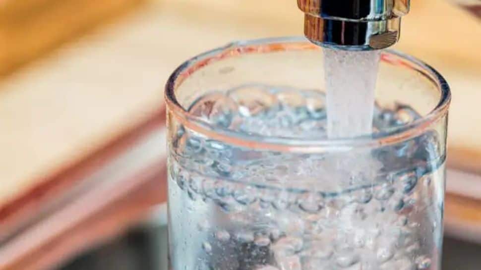 Karnataka 3 Die After Drinking Contaminated Water In Raichur District