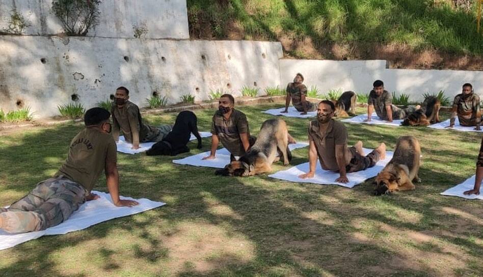 India celebrates International Yoga Day, PM Modi leads events from ...