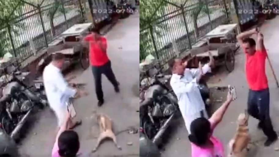 INHUMAN! Delhi man hits pet dog, owner with iron rod in broad daylight ...
