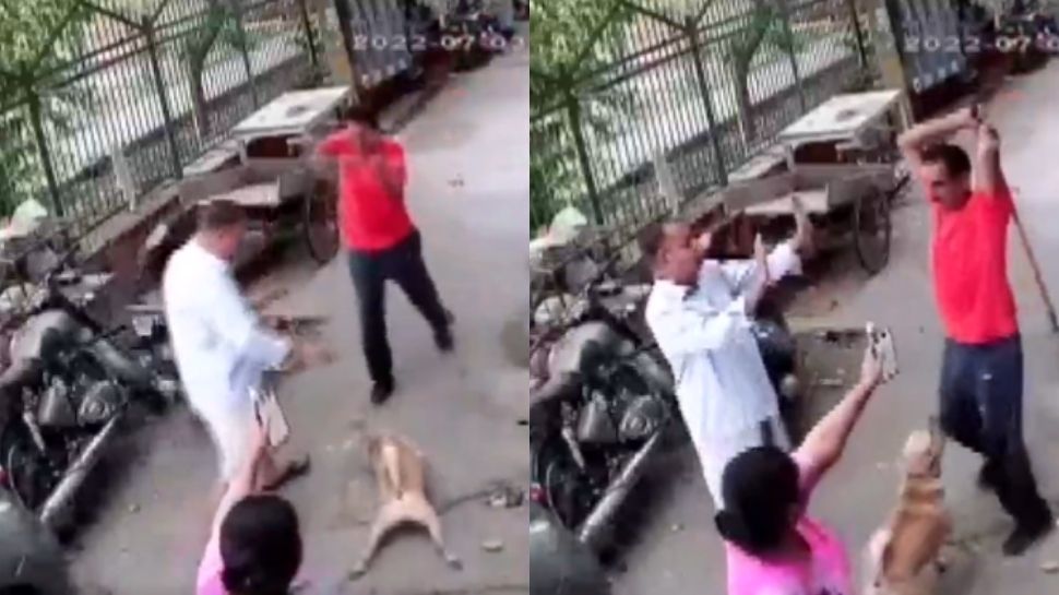 INHUMAN! Delhi man hits pet dog, owner with iron rod in broad daylight ...