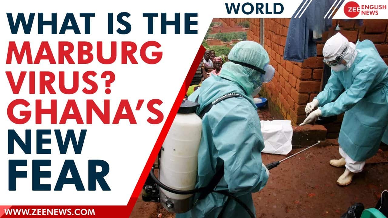 Explained: What is the Marburg virus? Its connection to bats and ...