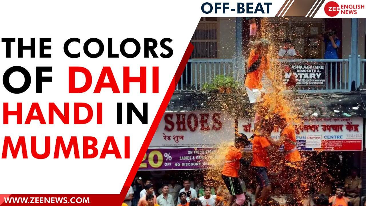 Watch these beautiful colours of Dahi Handi celebrations in different ...