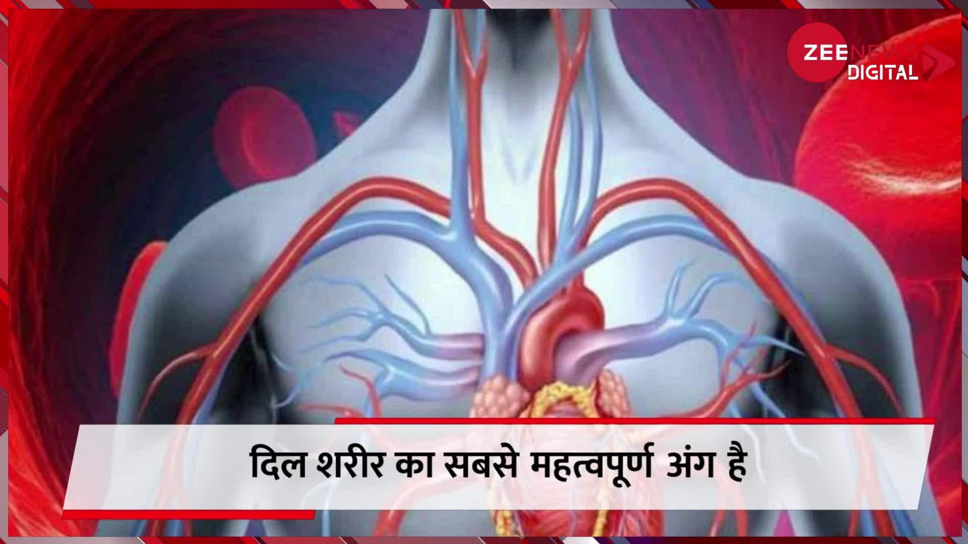 These symptoms are seen in the body before the heart attack comes, you ...