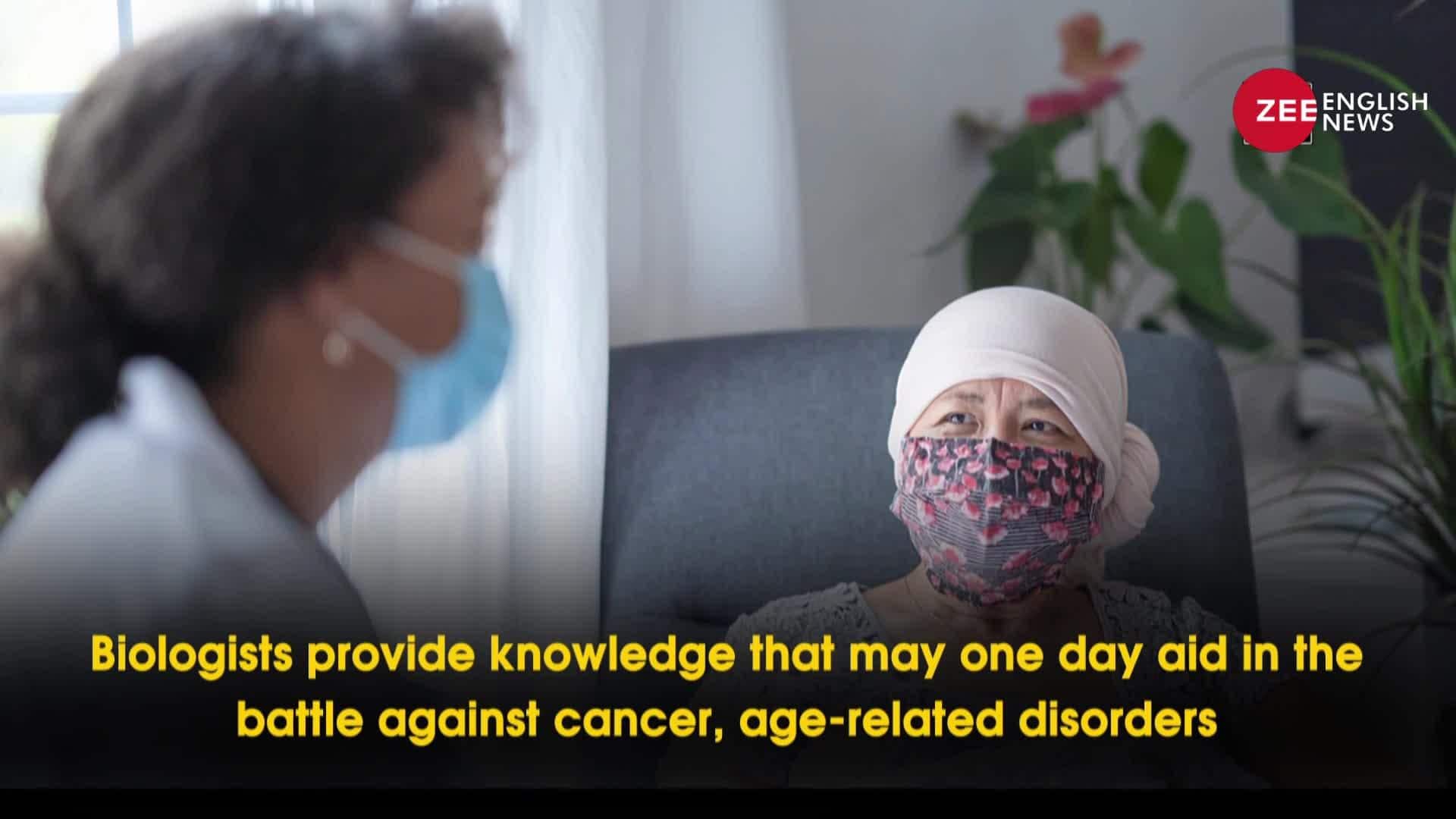 Biologists track DNA ‘parasites’ in the hunt for disease treatments ...