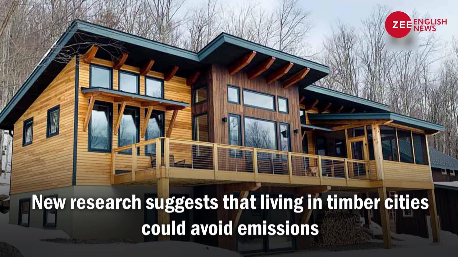 Living in timber cities could avoid more than 100 billion tons of CO2 ...