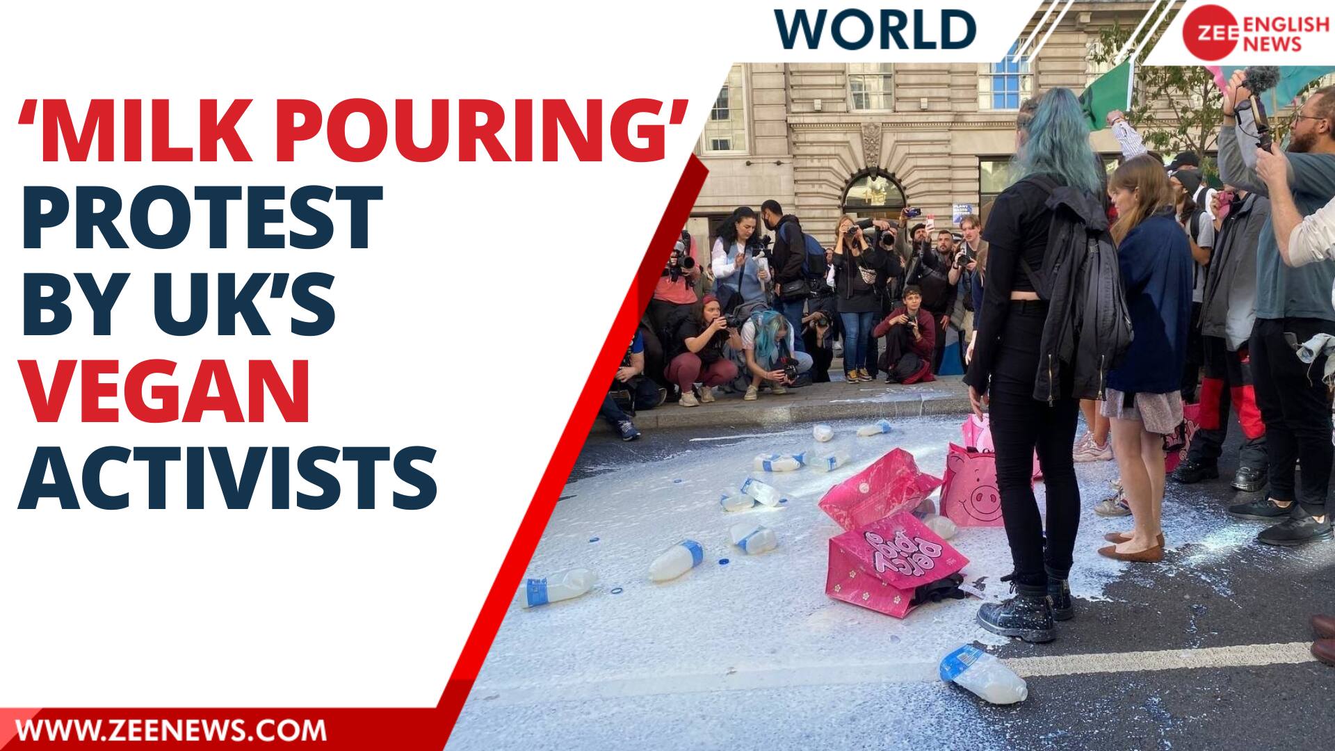 Vegan activists pour out bottles of milk on streets in UK | Zee News