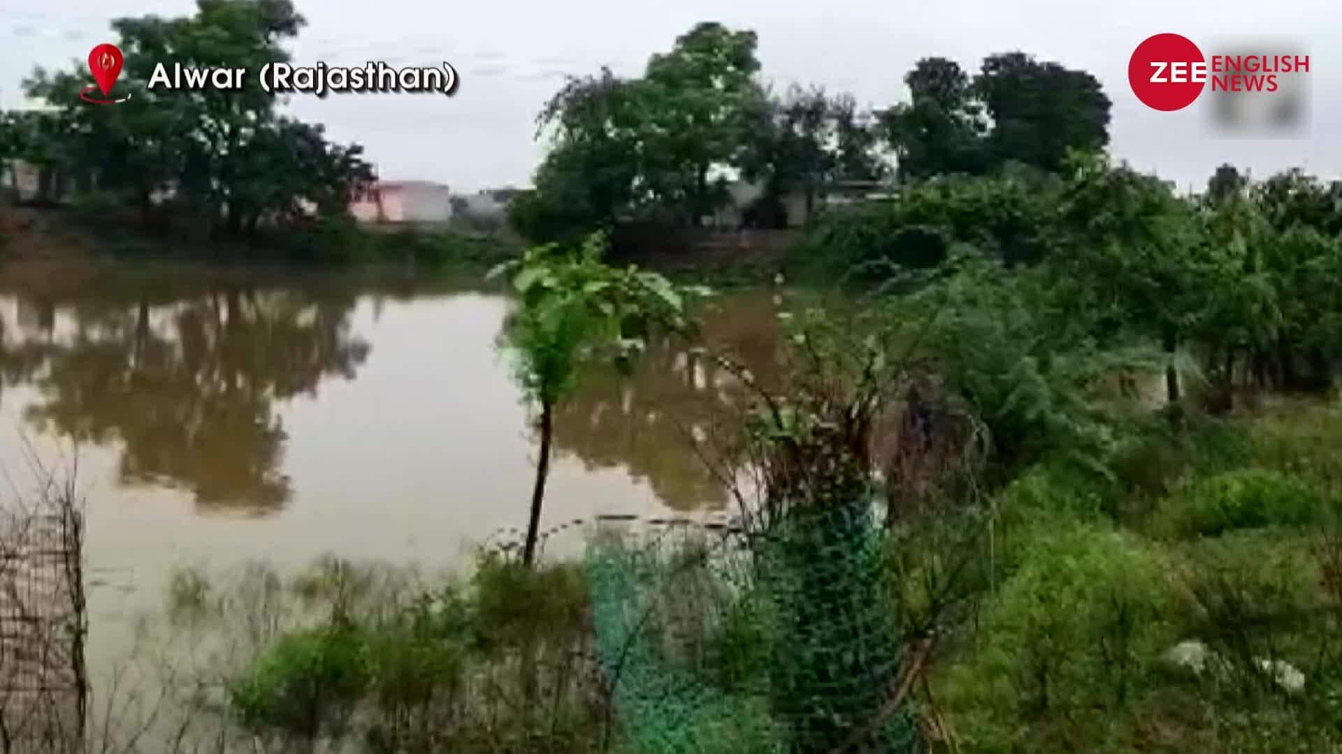 Rajasthan: Continuous rainfall damages crops in Alwar district | Zee News