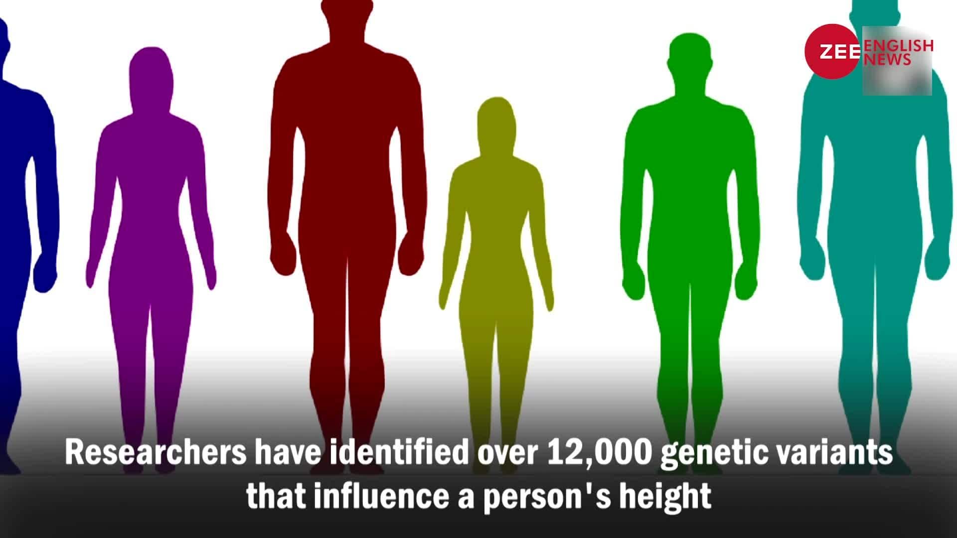 Large-scale DNA study reveals genetic links to height | Zee News