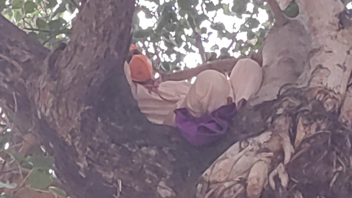 UP News: Youth climbed on tree with noose around his neck, demand to ...