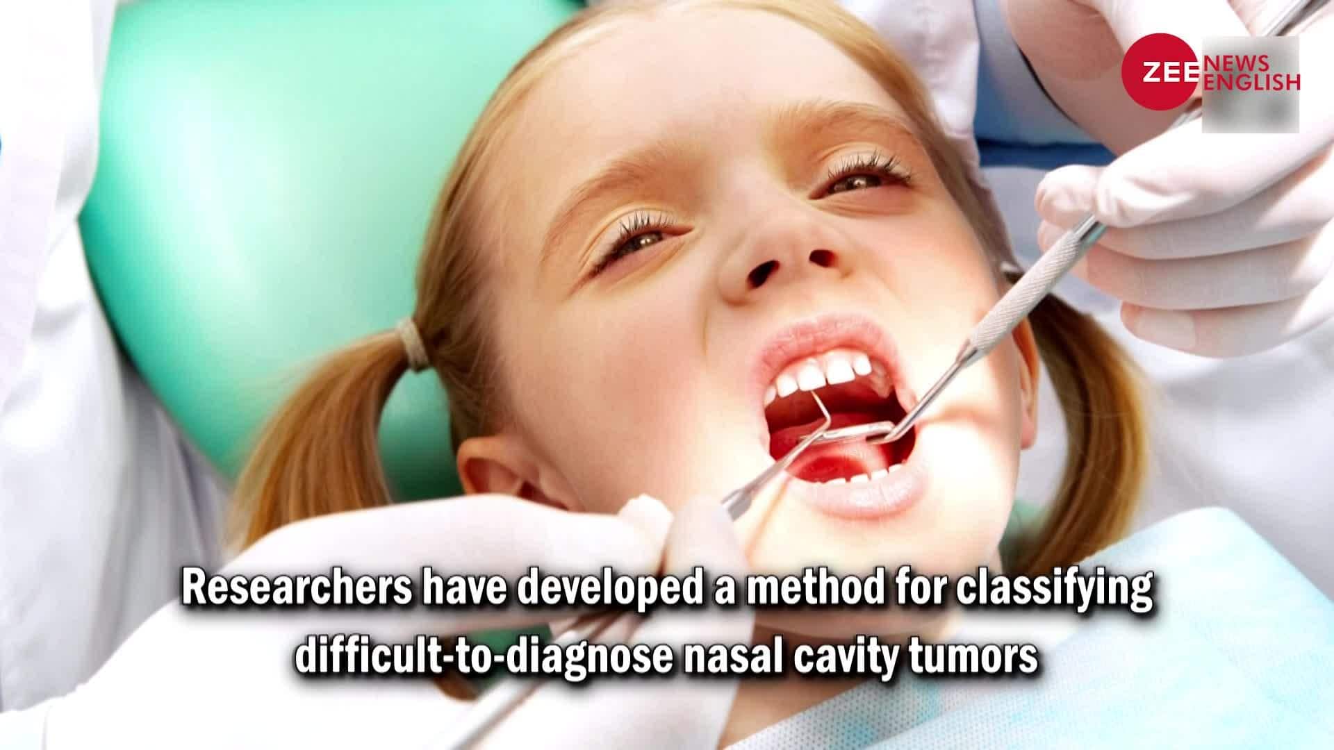 Study: Researchers develop method for classifying nasal cavity tumors ... Study: Researchers develop method for classifying nasal cavity tumors ...