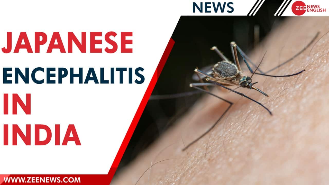 4-year-old boy infected with Japanese Encephalitis in Maharashtra; What are the symptoms and ...