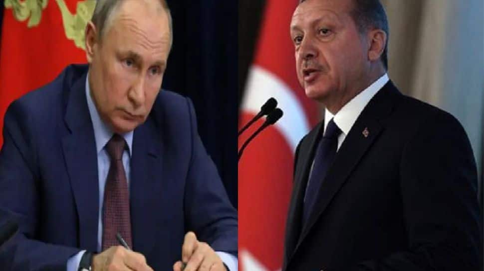 Turkey’s Erdogan, President Putin discuss mutual ties, including grain ...