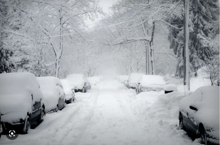 Heavy Snowfall in Many Countries Including America and Russia | Zee News