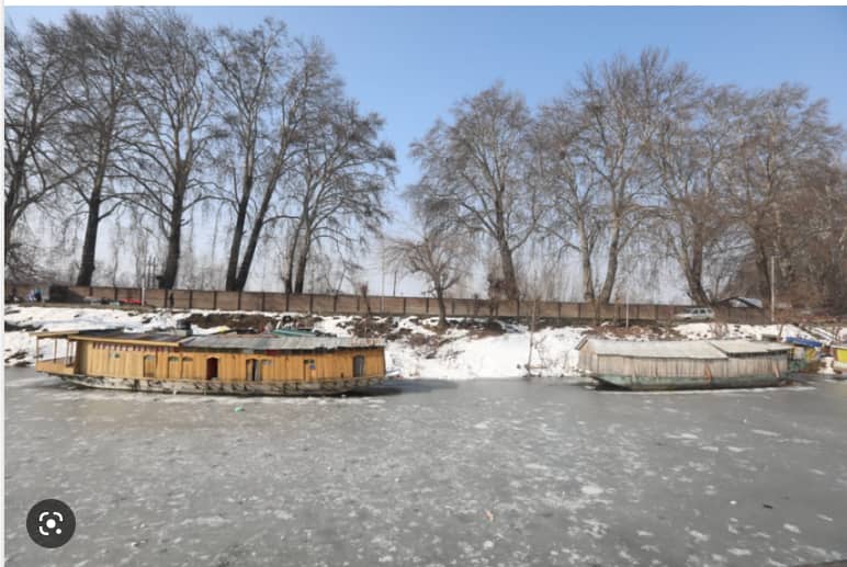 Zee Top 50: Cold Wave Batters North India, IMD warns, 'Temperature to ...