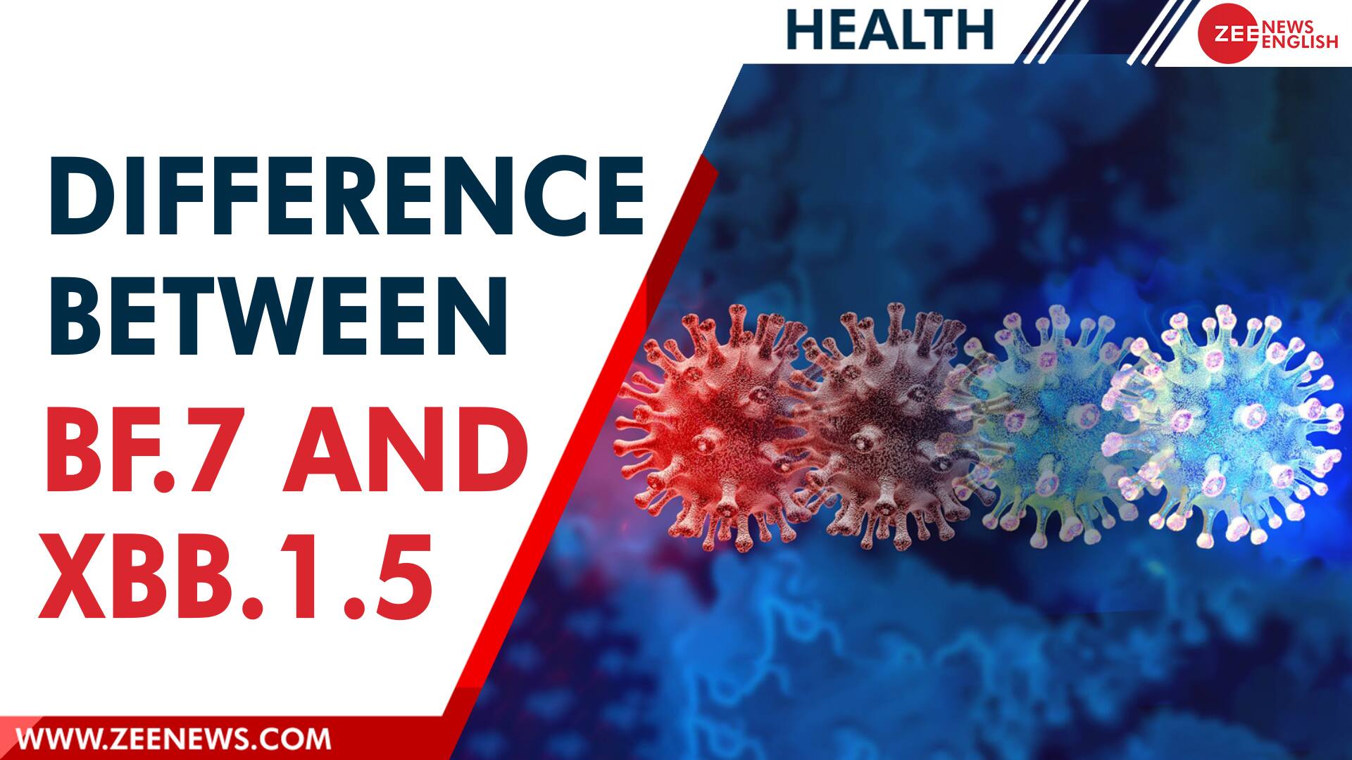 Which Omicron variant is more dangerous BF.7 or XBB.1.5 in India? | Zee News English | Zee News