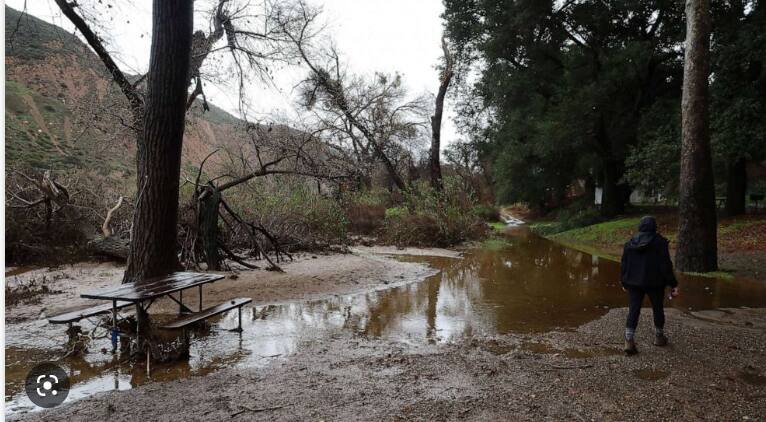 DNA: Video analysis of nature's havoc in California | Zee News